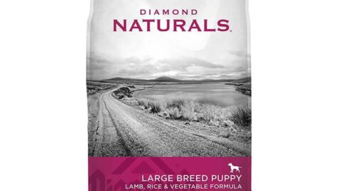 Diamond Naturals Large Breed Puppy Food | Scout Knows