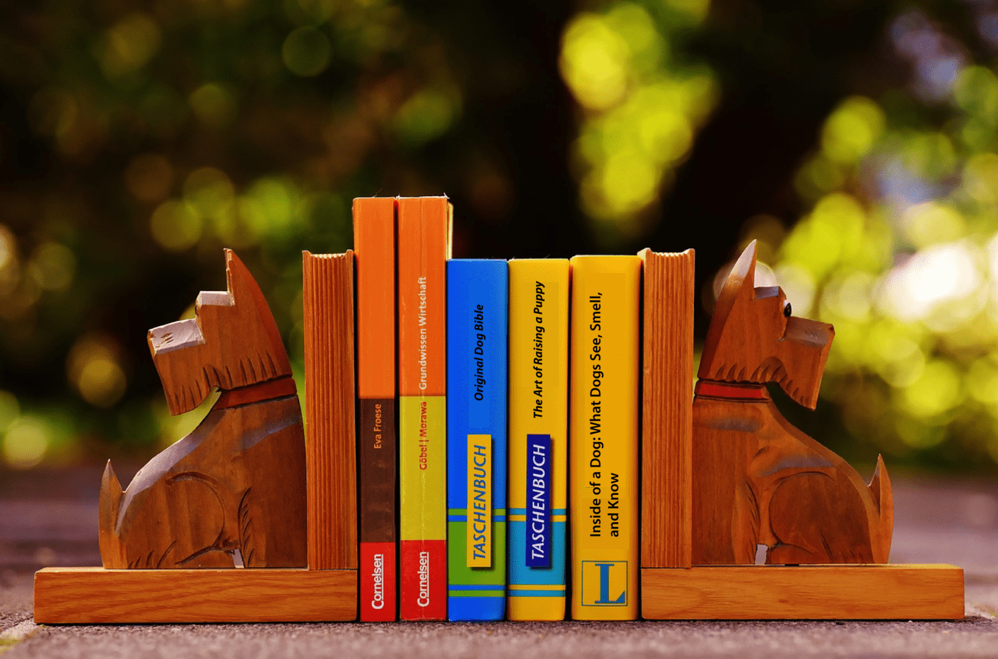 Essential Dog Reading: Books Every Dog Owner Should Own | Scout Knows
