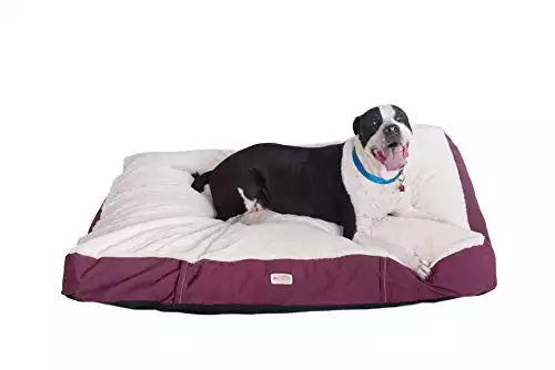 7 Best Dog Bed Ideas For Great Dane (DIY Options) | Scout Knows
