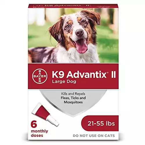 Frontline Plus vs K9 Advantix II Comparison (2025 Review)