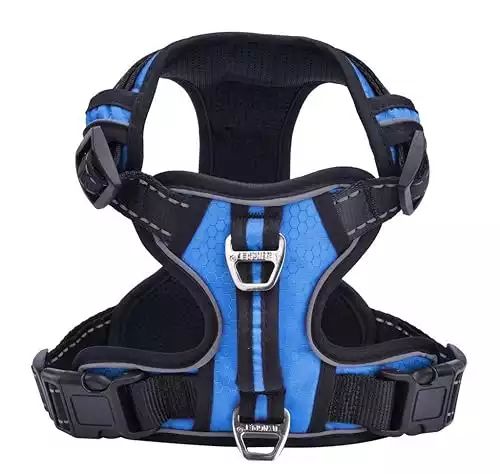 The 10 Best No-Jump Dog Harnesses For Inspired Dogs | Scout Knows