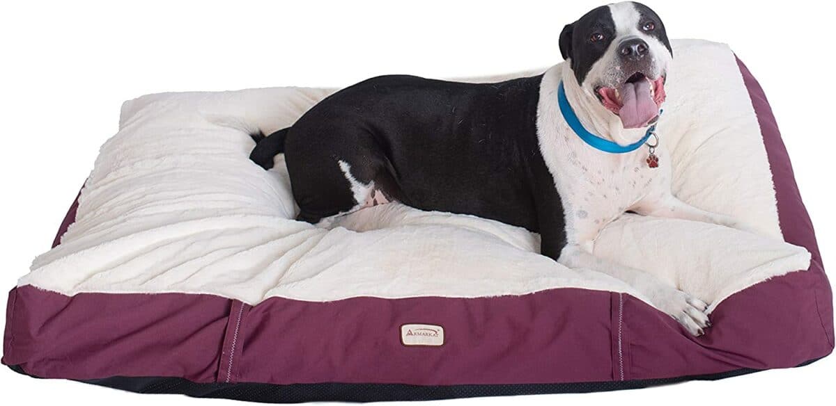7 Best Dog Bed Ideas For Great Dane (DIY Options) | Scout Knows