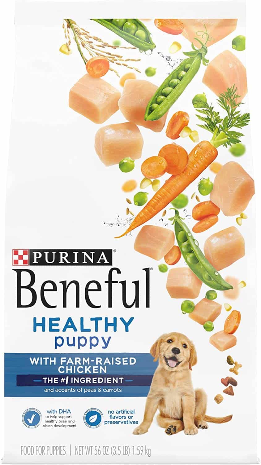 Beneful Dog Food Review - All You Need To Know | Scout Knows