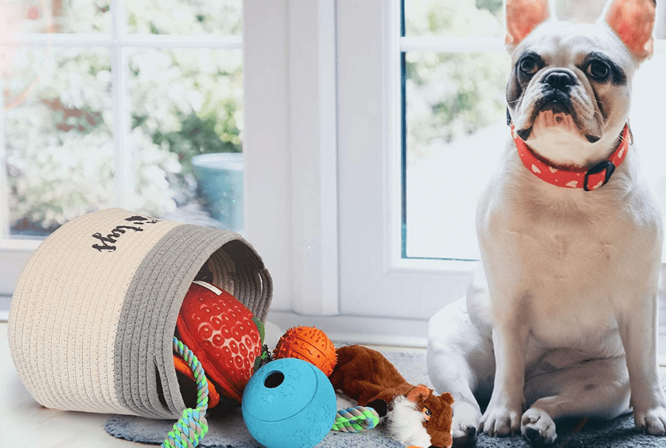 Best Dog Toy Basket Ideas and Picks | Scout Knows