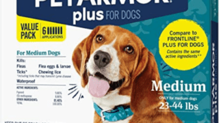 Pet Armor vs Frontline Plus - 2026 Review & Recall