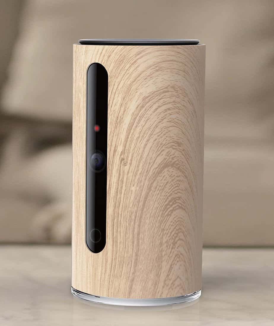 Best Dog Monitor Cameras - A Detailed Buyer's Guide