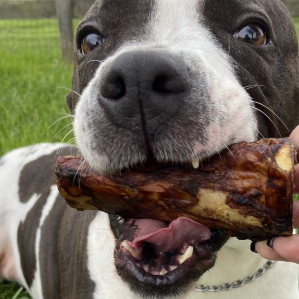 Red Barn Bully Rings Review: The One Ring To Drool Them All?