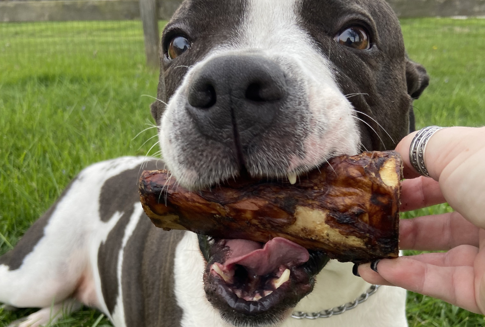 Red Barn Bully Slices Review and Guide: Are They Any Good?