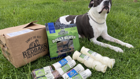 Red Barn Dog Bones Review and Guide | Scout Knows